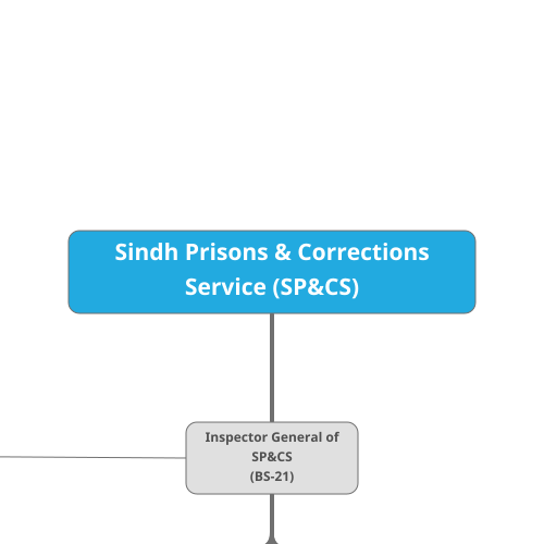 SP&CS Organogram